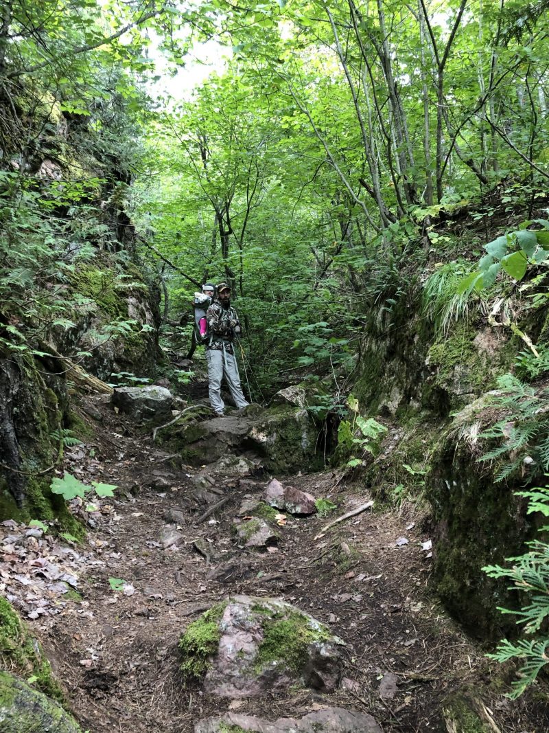 About - Modern Conservationist