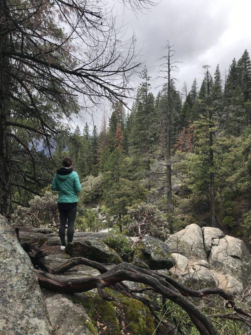 About - Modern Conservationist